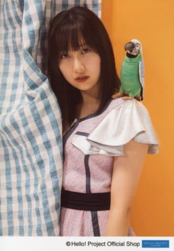 Official photo (Halopro) / idol / Morning Musume' 20 Morning Musume' 20 ...