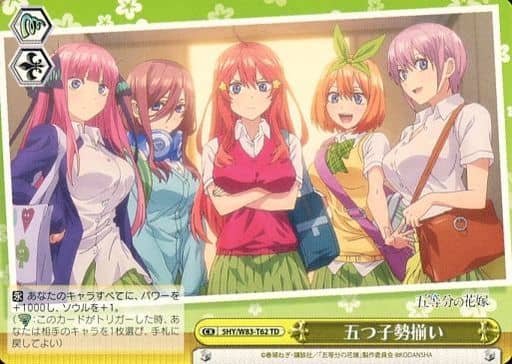 5HY/W83-T62 [TD] : Quintet Set | Toy Hobby | Suruga-ya.com