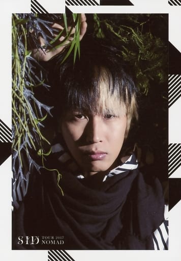 駿河屋 - シド/ゆうや/バストアップ・白枠/「SID TOUR 2017 『NOMAD』」トレーディングフォト（男性生写真）