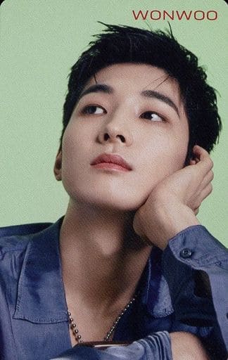 Seventeen / WONWOO / Bust Up / Left Hand Mallet Stick / Background ...