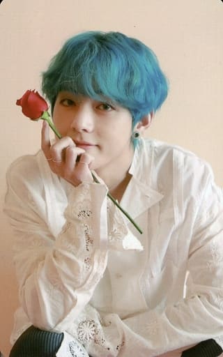 BTS / V / Pink back / DVD "BTS MEMORIES OF 2019" enclosed special photo ...