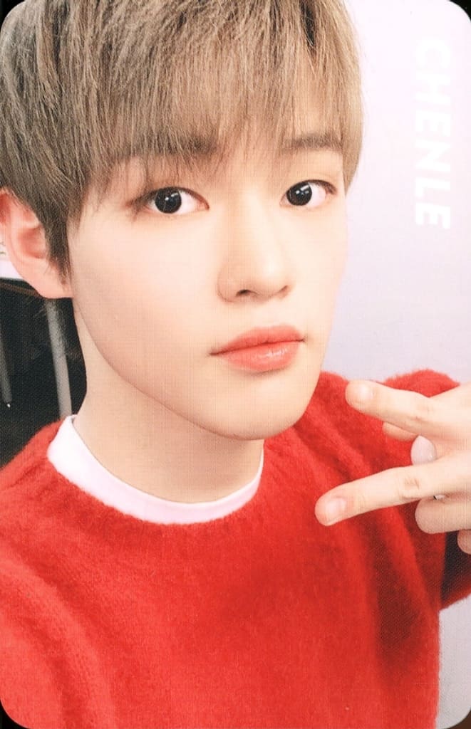 NCT DREAM / Chongro (CHENLE) / CD "THE DREAM" [picture label / first ...