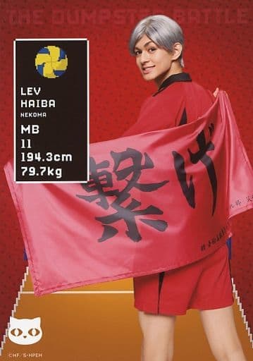 Official photo (male) / actor Reo TAHORI (Lev Haiba) / Above-the-knee ...