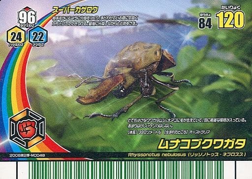 駿河屋 - MC048[EXノーマル]：ムナコブクワガタ（ムシキング）