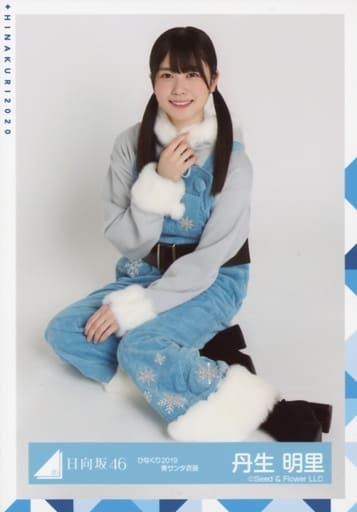 Akari Nibu / Sitting / Hinatazaka46 Random Official photo (Hina doll ...