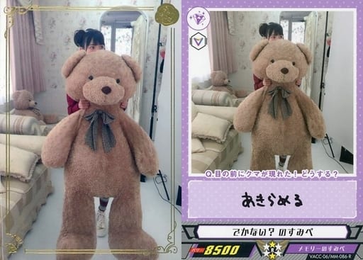 VACC-06/MM-086-R : Kamisaka Sumire Matsubara / Rare (frame metal hot ...