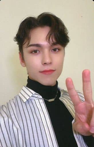 Seventeen / Vernon (Vernon) / "Seventeen 2021 SEASON'S GREETINGS ...