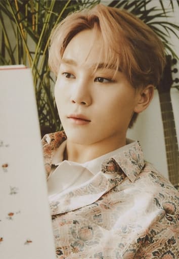Seventeen / SEUNGKWAN (Boo Seung-kwan) / CD "Your Choice" UNIVERSAL ...