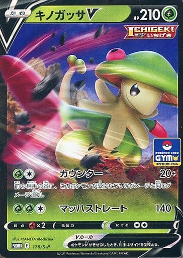 Pokémon Card Game / P / Kusa / Sword & Shield Promo Card Pack 6 176/S-P ...
