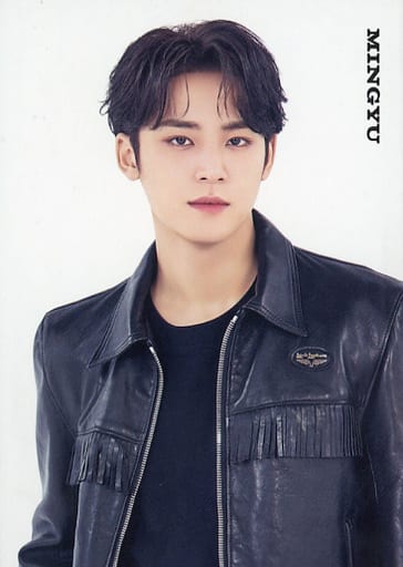 113 : Seventeen / MINGYU / Normal Card / 「 Seventeen 2021 JAPAN SPECIAL ...