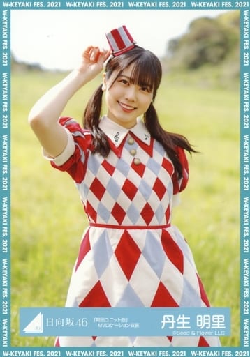 Official photo (Nogizaka46) / idol / Hinatazaka46 Akari Nibu / Upper ...