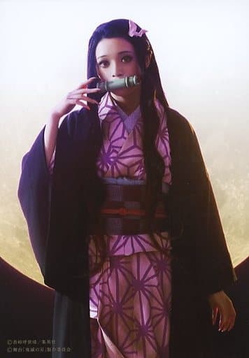 High stone light (Nezuko Kamado) / Knee-high, Character Tomoshot ...