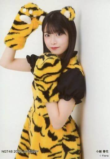 Kogoshi Shunka / Hanzo / NGT48 January 2022 net shop only individual Official photo Vol. 1 "2022 ...