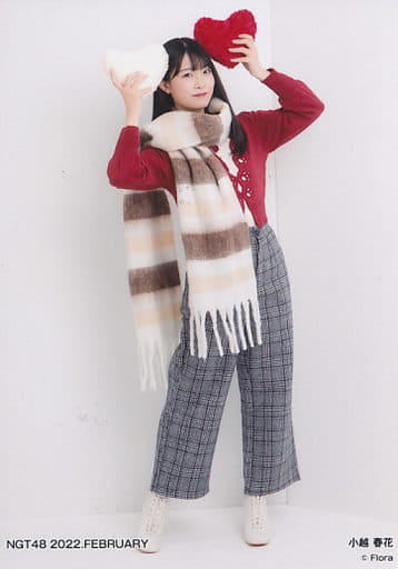 Official photo (AKB48 / SKE48) / idol / NGT48 Kogoshi Shunka / Seshin / NGT48 February 2022 net ...