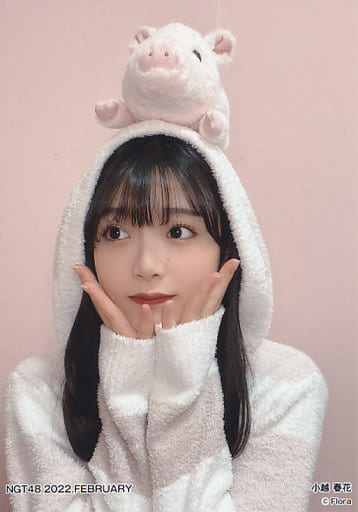 Kogoshi Shunka / Bust Up / NGT48 February 2022 net shop only individual Official photo Vol. 3 ...