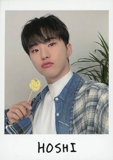 Collection Card (Male) / "Seventeen's HOME MERCHANDISE" Trading Card ...