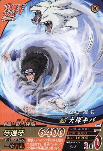 NF-176 [N] : Kiba Inuzuka | Toy Hobby | Suruga-ya.com