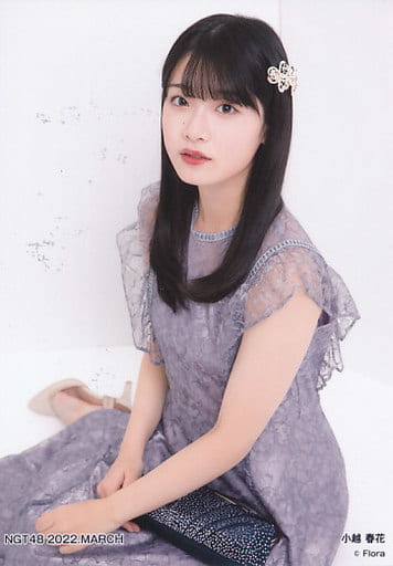 Official photo (AKB48 / SKE48) / idol / NGT48 Kogoshi Shunka / Above-knee, Sitting / NGT48 March ...