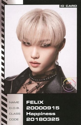 Collection Card (Male) / Special ID Photo Card with CD "ODDINARY" Stray ...