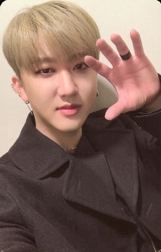 Collection Card (Male) / Special Photo Card with CD "ODDINARY" Stray ...