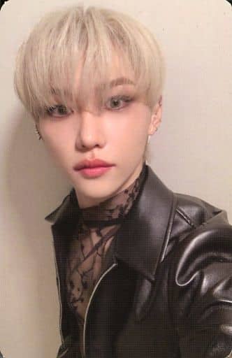 Collection Card (Male) / Special Photo Card with CD "ODDINARY" Stray ...