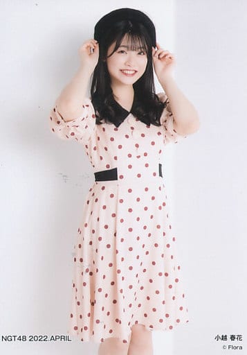 Kogoshi Shunka / Hizajo / NGT48 April 2022 net shop only individual Official photo Vol. 1 "2022 ...