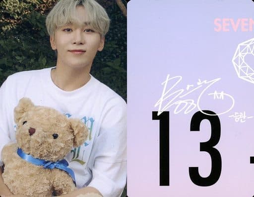 SEVENTEEN/SEUNGKWAN (Boo Seung-kwan) / Back Pink / Printed with ...
