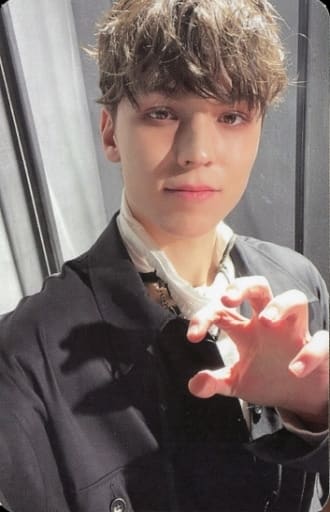 Seventeen / VERNOn (Vernon) / Back grey / CD "Face the Sun" (ep. 2 ...