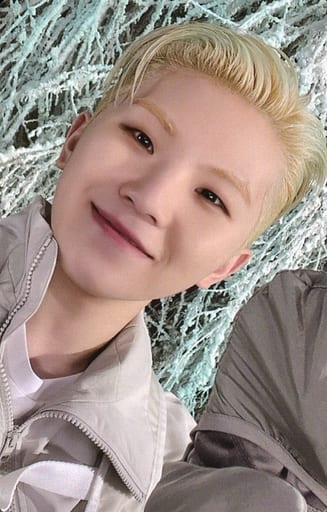 Seventeen / WOOZI / Back Side Blue / Black / CD "SECTOR 17" (NEW ...