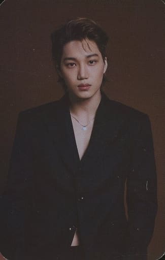 EXO / Kai (KAI) / artist & FLO / "EXO Lightstick Ver 3" Enclosed Special Photo Card | Toy Hobby ...