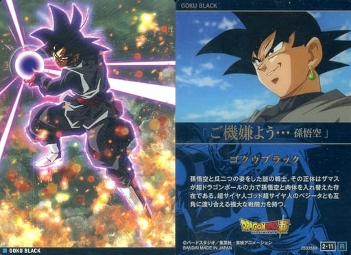 2-11 [R] : Gochu-blac | Toy Hobby | Suruga-ya.com