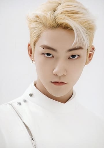 Official photo (Male) / idol / The Boyz THE BOYZ/KEVIN / CD 「 SHE'S THE ...