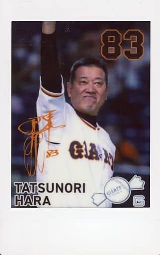 Official photo (Male) / Professional Baseball Player / Yomiuri Giants ...