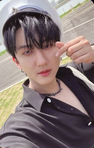 Stray Kids/Changbin(Chanbin)/光盤 (GO Ver.)封入特典照片卡 | 玩具模型 | Suruga-ya.com