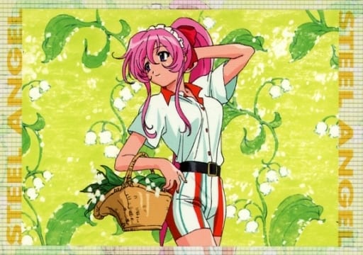 Steel Angel 02 : Walnut | Toy Hobby | Suruga-ya.com