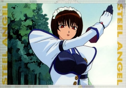 Steel Angel 12 : Angel | Toy Hobby | Suruga-ya.com