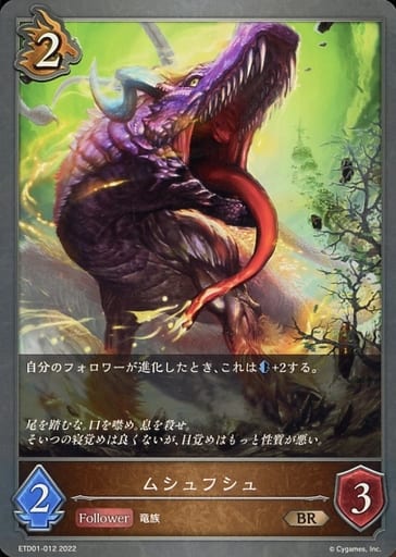 Shadow Verse : Evolv / BR / Follower / Entry Deck Shadow Verse F 1st ...