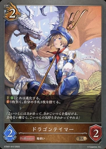 Shadow Verse : Evolv / BR / Follower / Entry Deck Shadow Verse F 1st ...