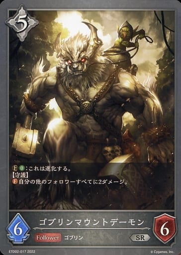 Shadow Verse : Evolv / SR / Follower / Entry Deck Shadow Verse F 2nd ...