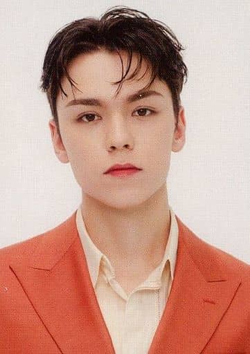 Collection card (male) / "SEVENTEEN WORLD TOUR [BE THE SUN] - JAPAN ...