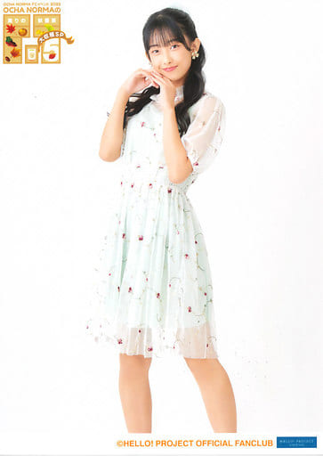 OCHA NORMA / Kitahara Momo / Above the Knee / 2L Size / "OCHA NORMA FC ...