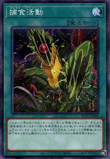 SUB1-JP040 [NP] : predatory activity | Toy Hobby | Suruga-ya.com