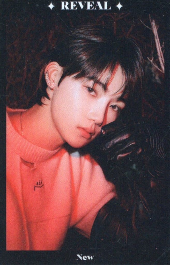 駿河屋 - THE BOYZ/NEW(ニュー)/CD「REVEAL(Wolf Ver.)」封入特典フィルムフォトカード（男性コレクションカード）