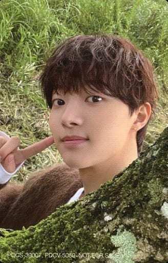 駿河屋 - ＆TEAM/EJ/CD「First Howling ： ME」＜初回限定盤B＞＜UNIVERSAL MUSIC STORE盤＞(POCS-39007、PDCV-5059)封入特典 ...