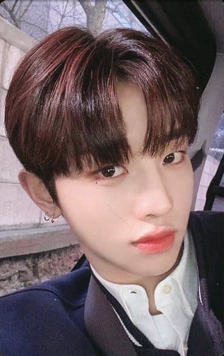 Collection card (male) / CD-「 Hello Goodbye (HYEOP version) 」 (UPCH ...