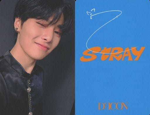 Collection Card (Male) / "DICON D' FESTA MINI EDITION Stray Kids" Photo ...