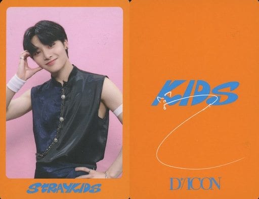 Collection Card (Male) / "DICON D' FESTA MINI EDITION Stray Kids" Photo ...