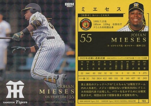 BBM / Regular Card / BBM the hanshin tigers Baseball Card 2023 T65 ...