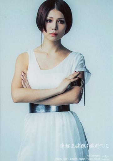 Official photo (female) / rock band / traditional Japanese musical ...