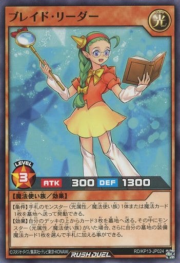 RD/KP13-JP024 [N] : Braid Reader | Toy Hobby | Suruga-ya.com